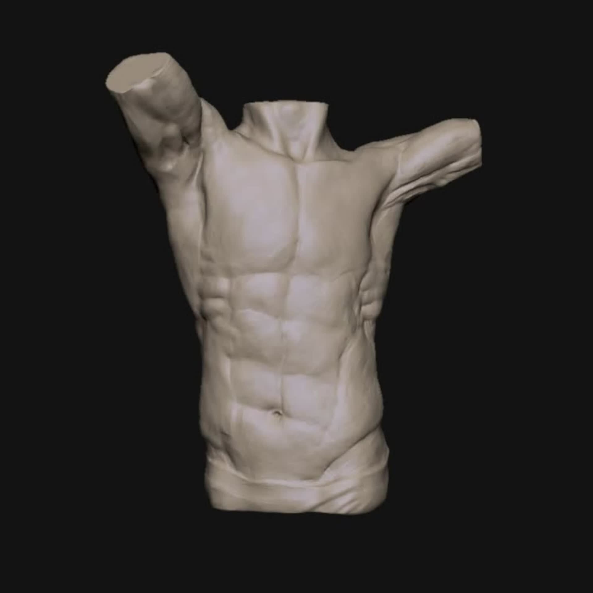 ArtStation - Torso Study