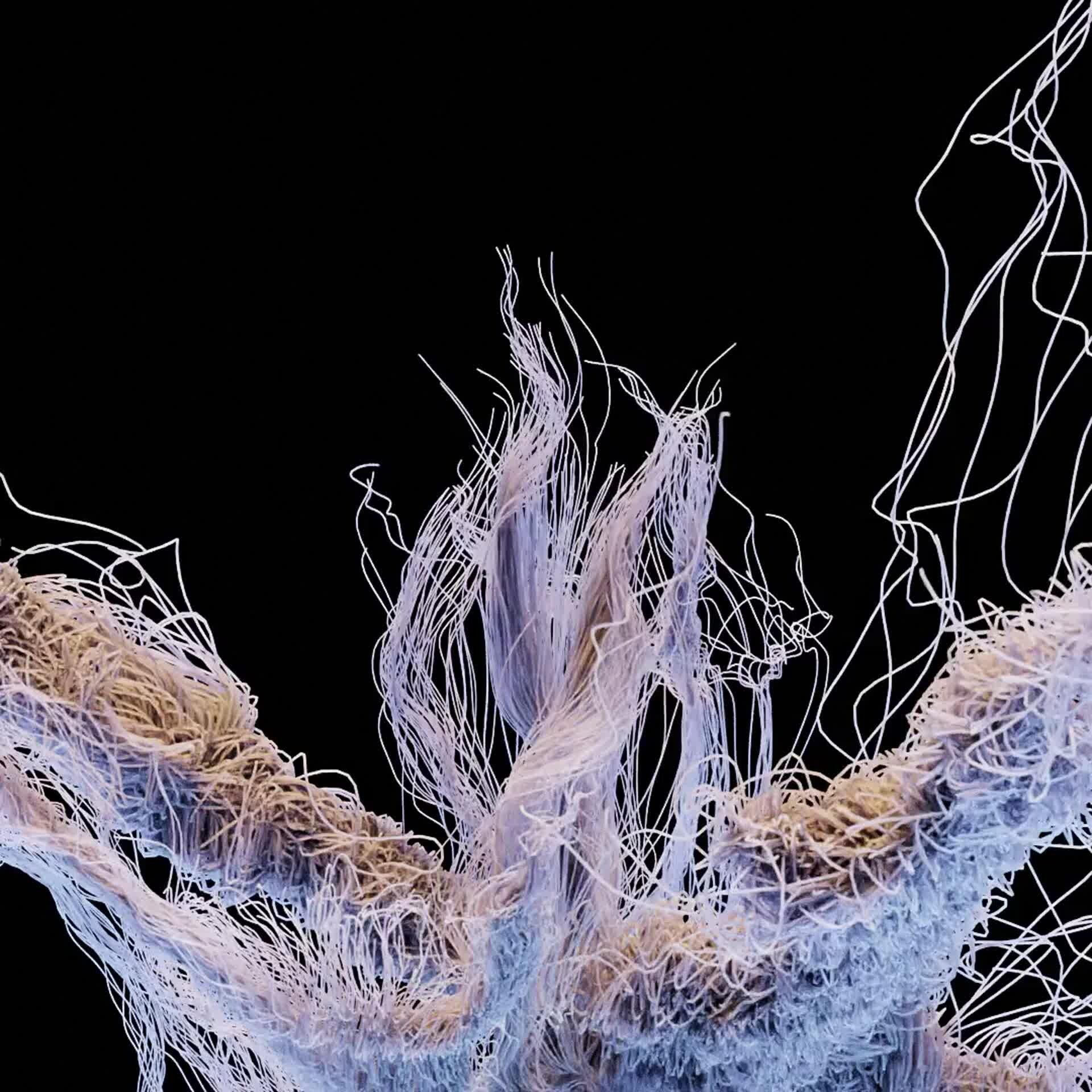 ArtStation - Mycelial#1