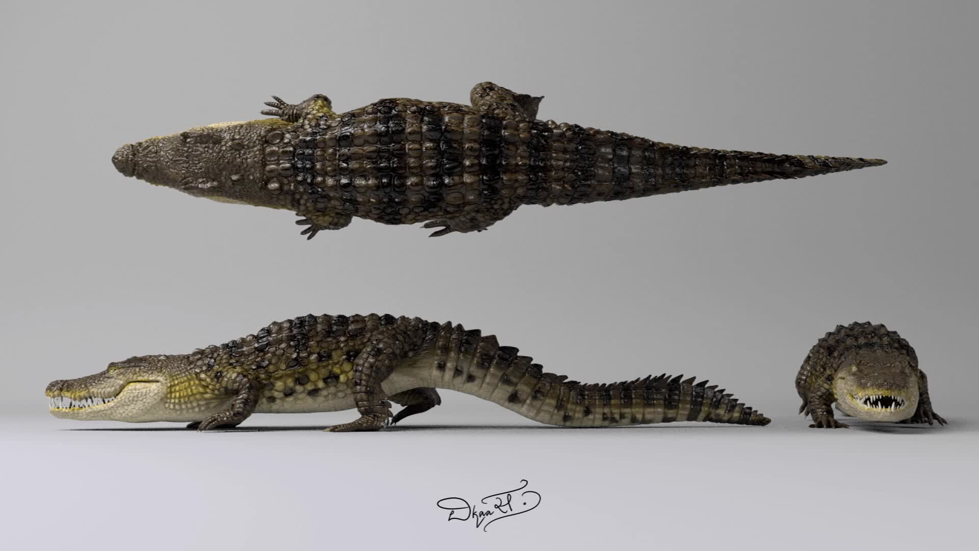 ArtStation - Mugger Crocodile Animation Test