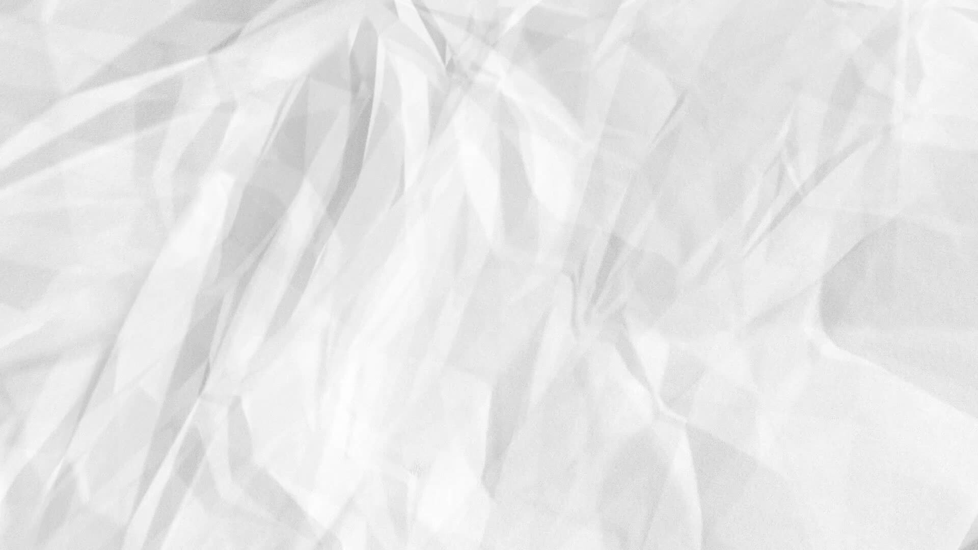 ArtStation - Fevicol Logo animation