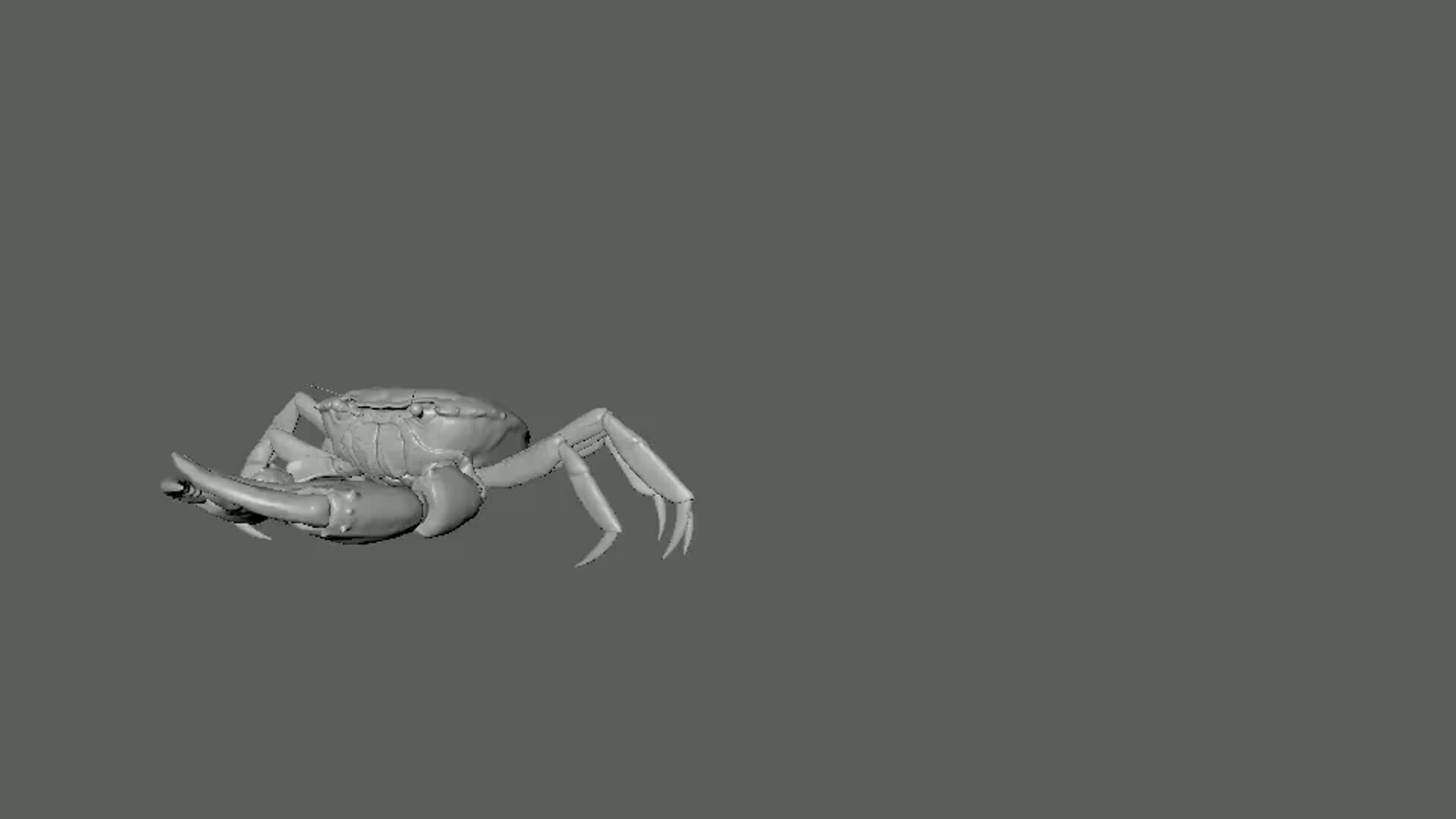 ArtStation - Crab Animation