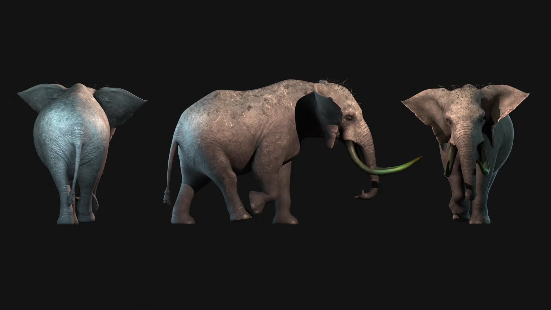ArtStation - Elephant Walk Cycle, Creature Animation