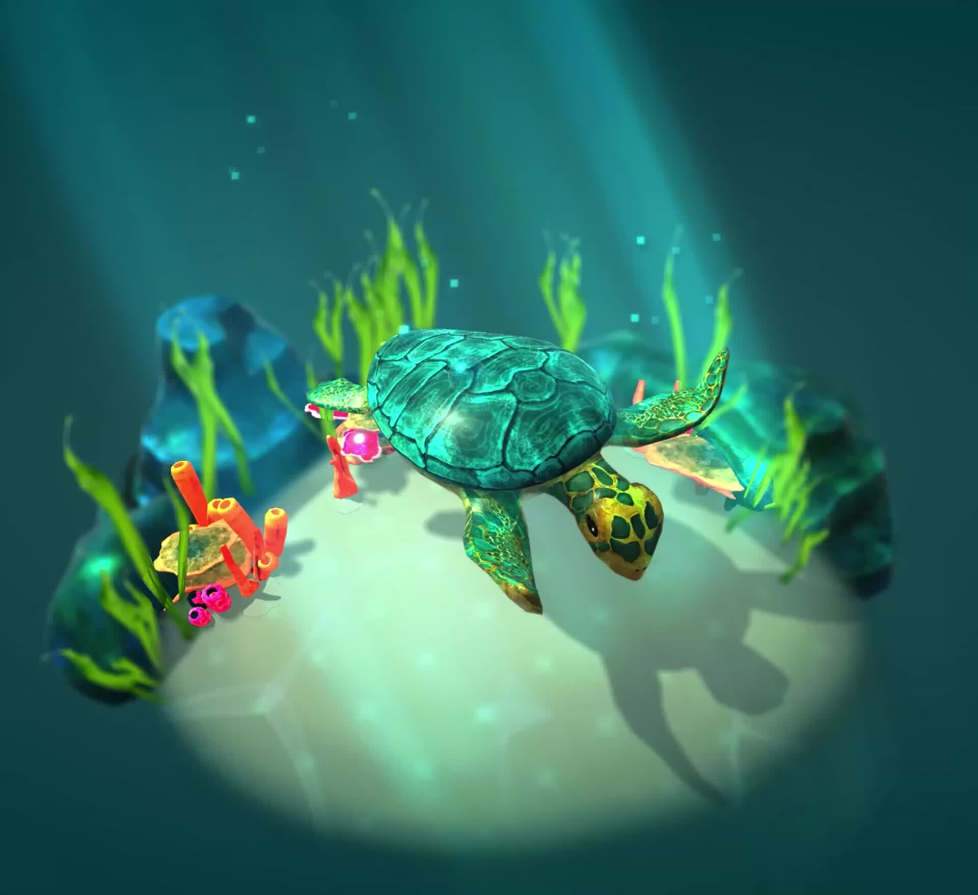 ArtStation - Happy Turtle