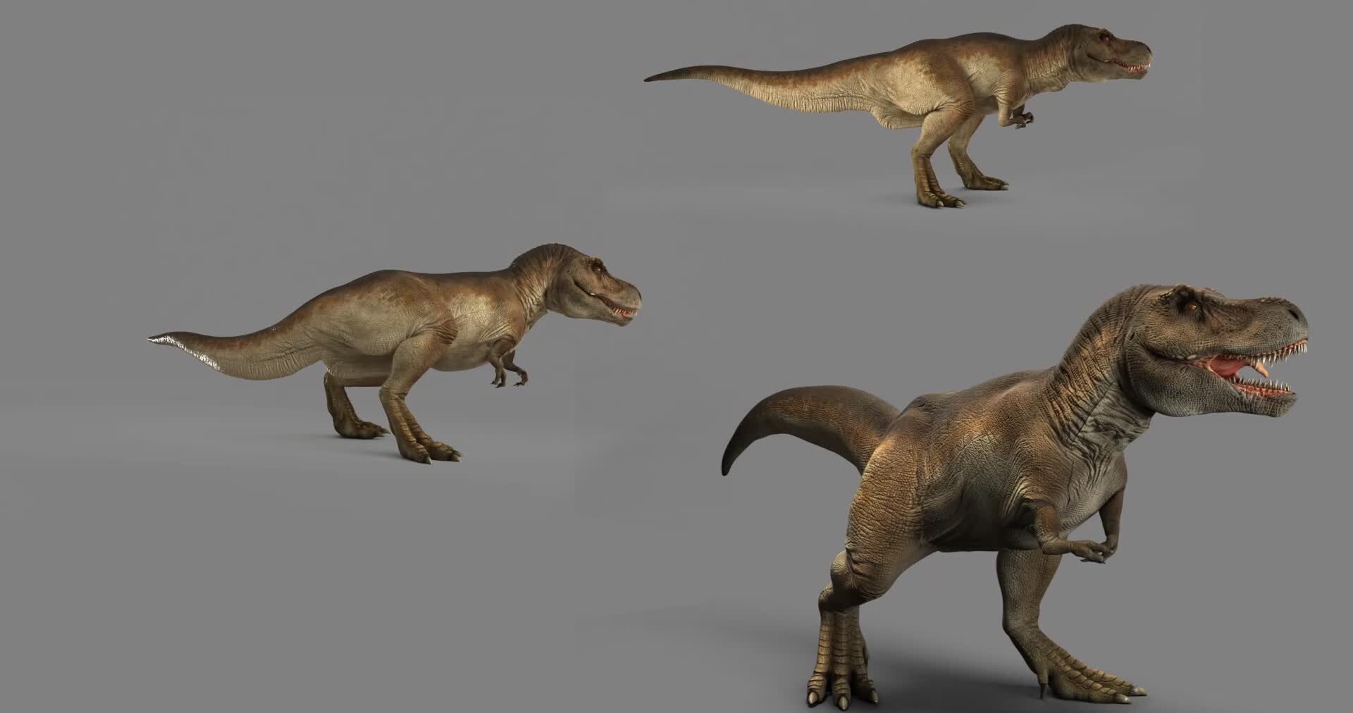 ArtStation - Animation studies about the T-Rex_HEAJ