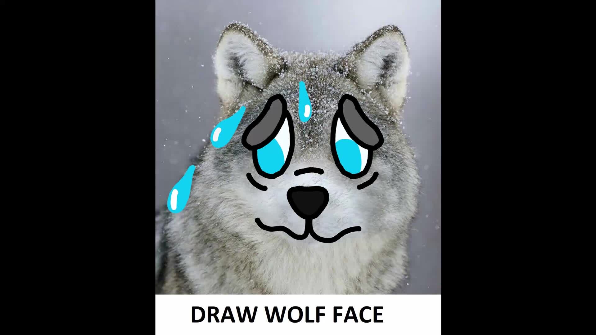 ArtStation - Nervous Wolf Animation