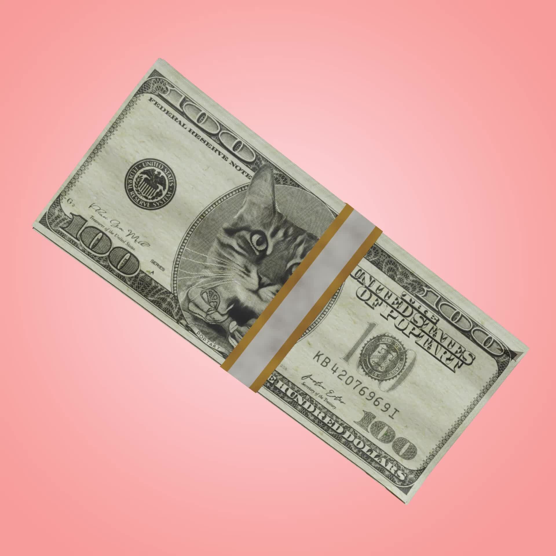 ArtStation - Cat Based Currency System, 2021