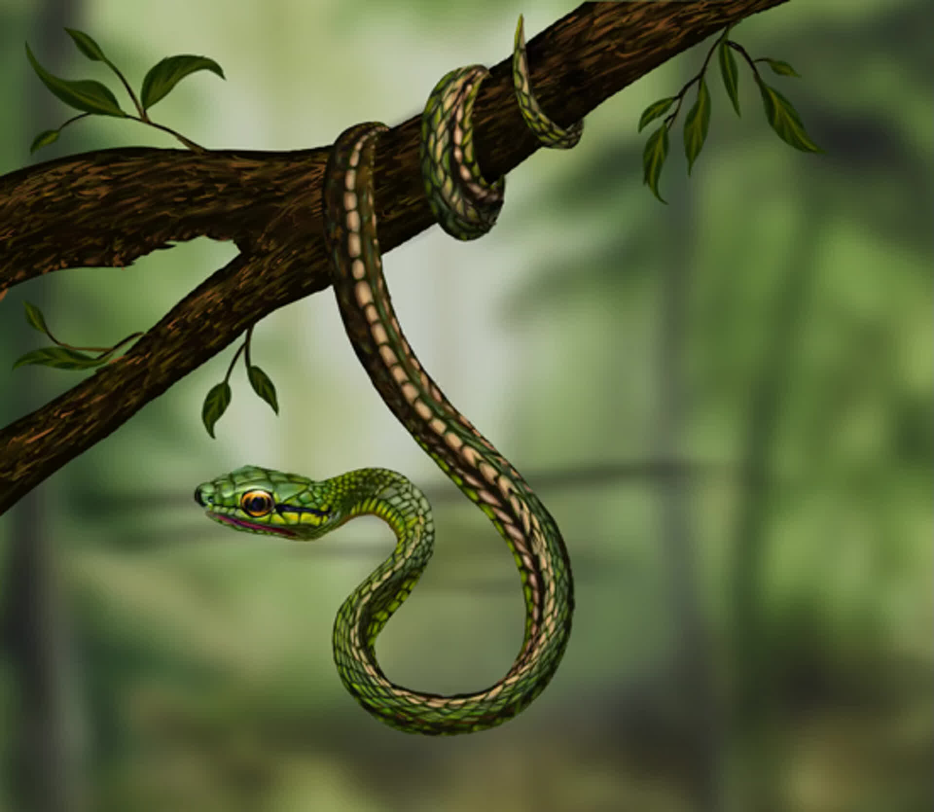 ArtStation - Green Snake 2d Animation