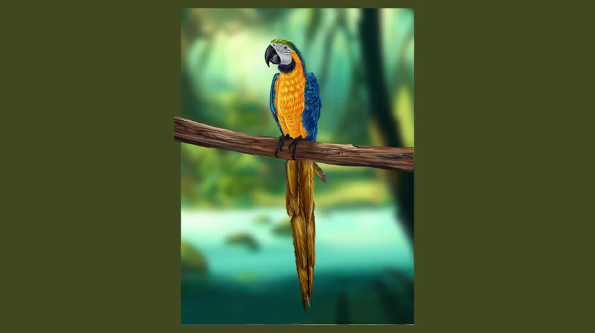 ArtStation - Macaw Parrot spine 2d animation
