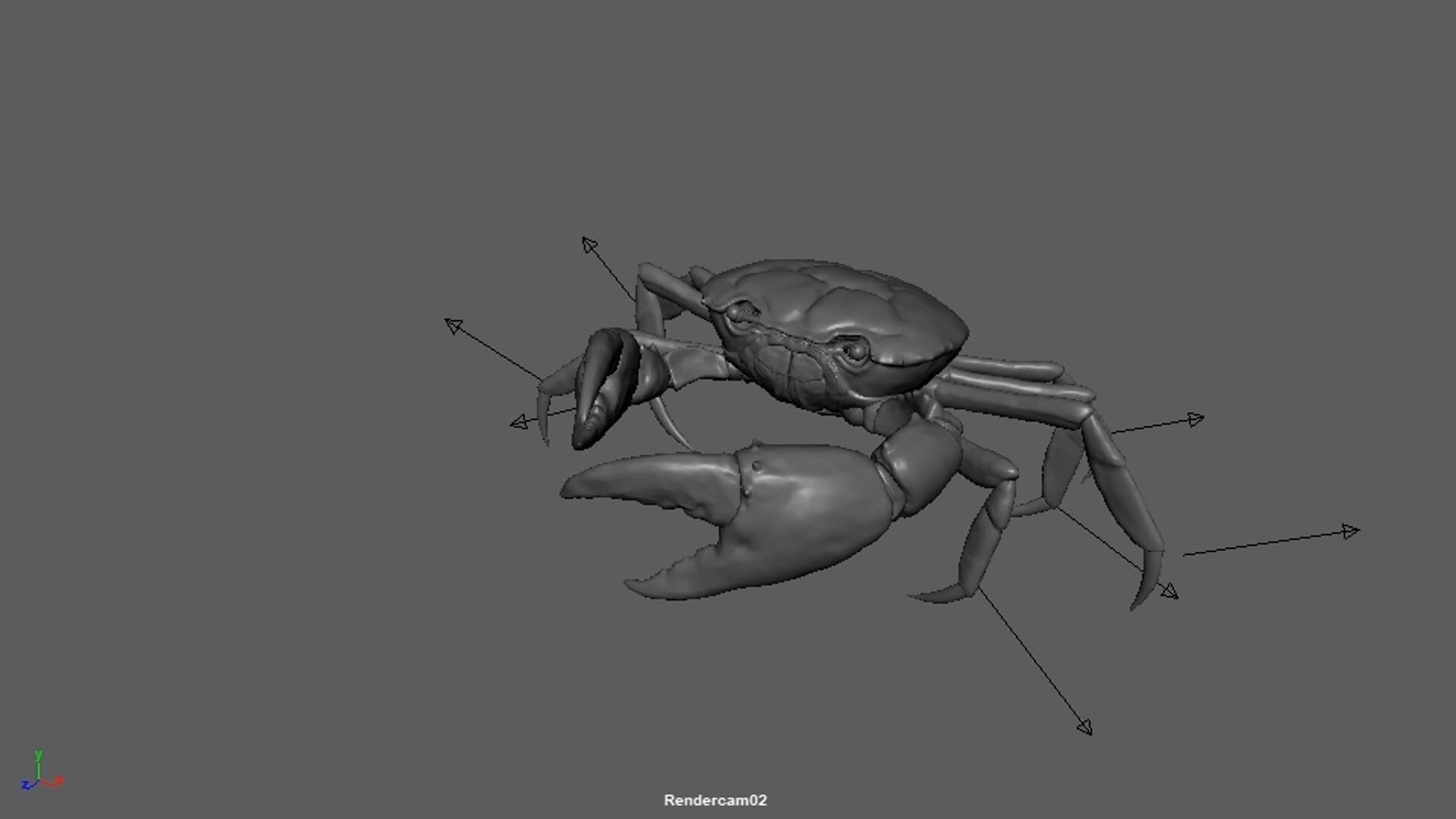 ArtStation - Crab Walking Research