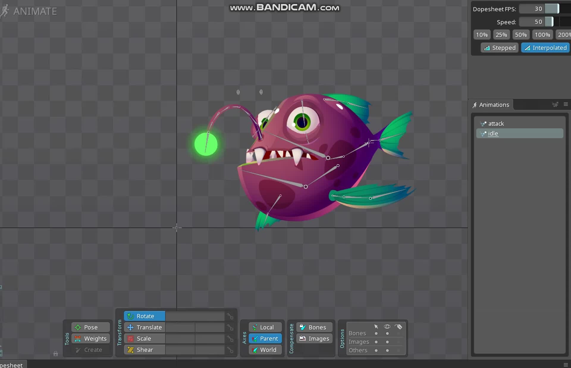 ArtStation - marine fish spine 2d animation
