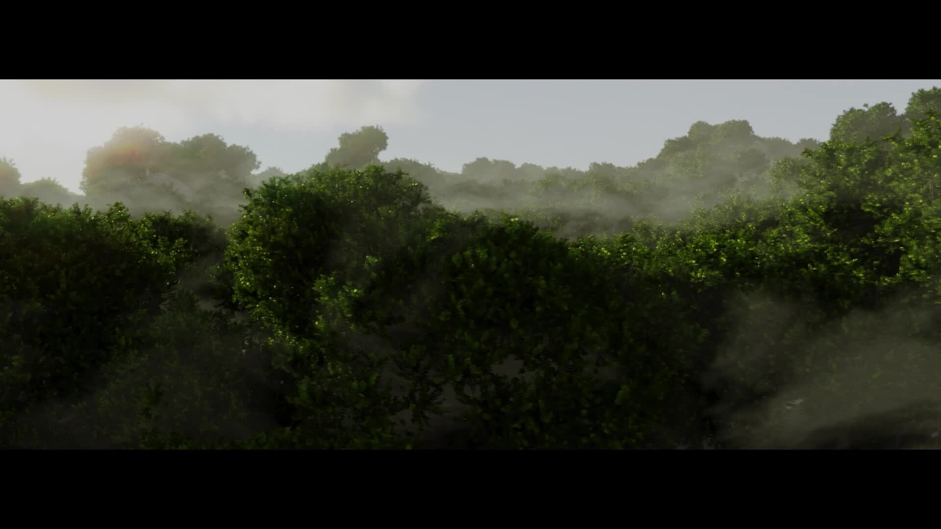 ArtStation - CG Forest