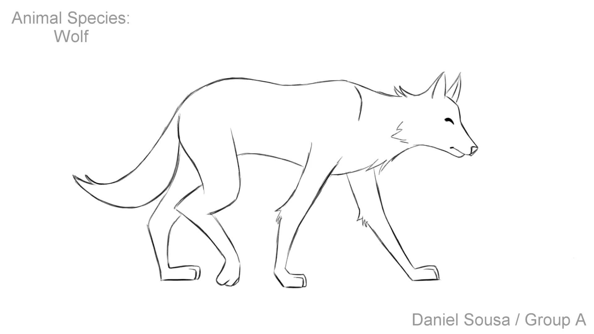 ArtStation - Wolf walking animation