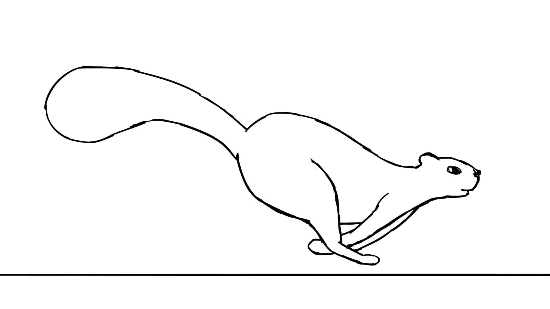 ArtStation - Squirrel Run