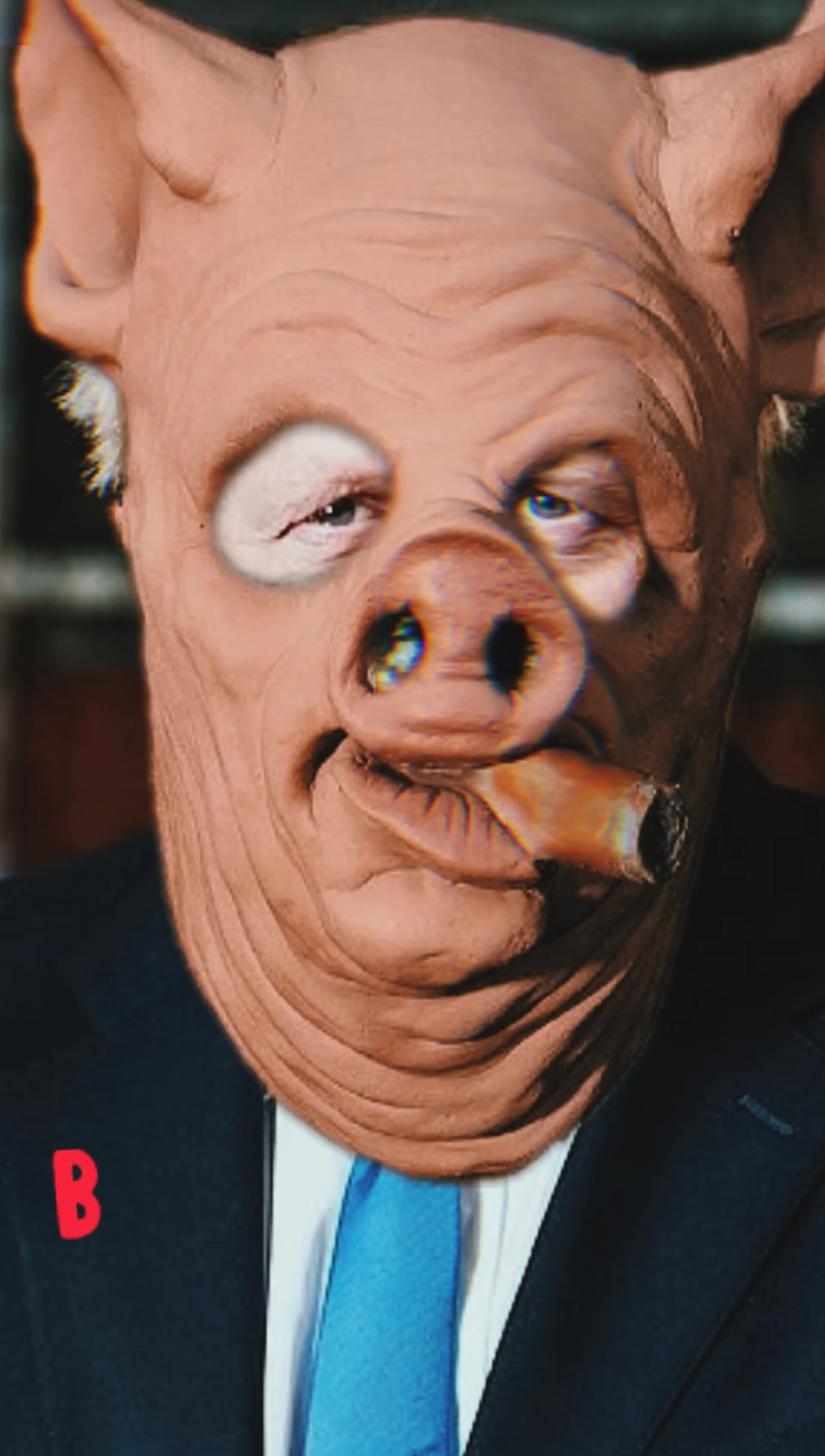 ArtStation - pig for brains