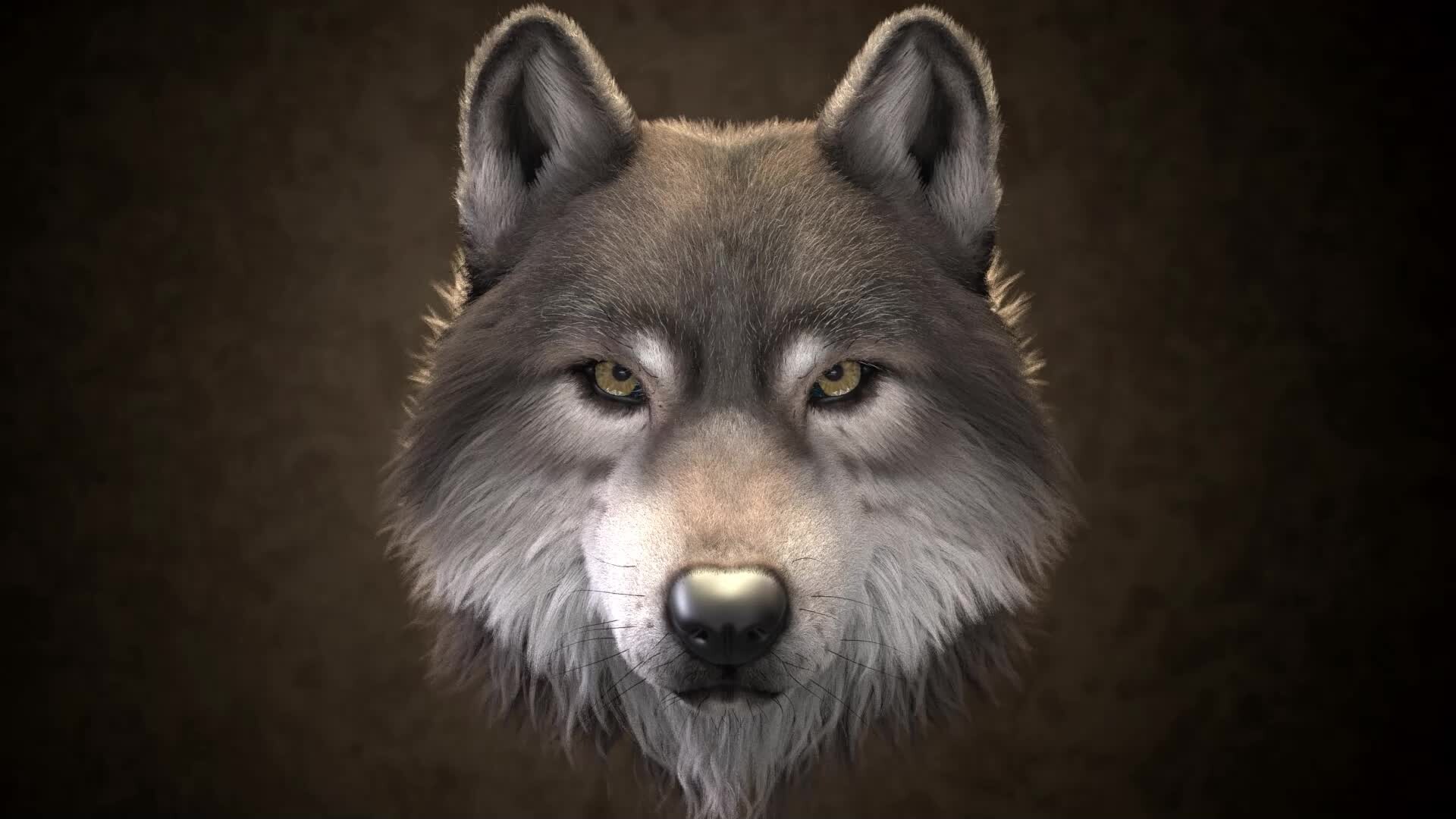 ArtStation - Wolf head video render