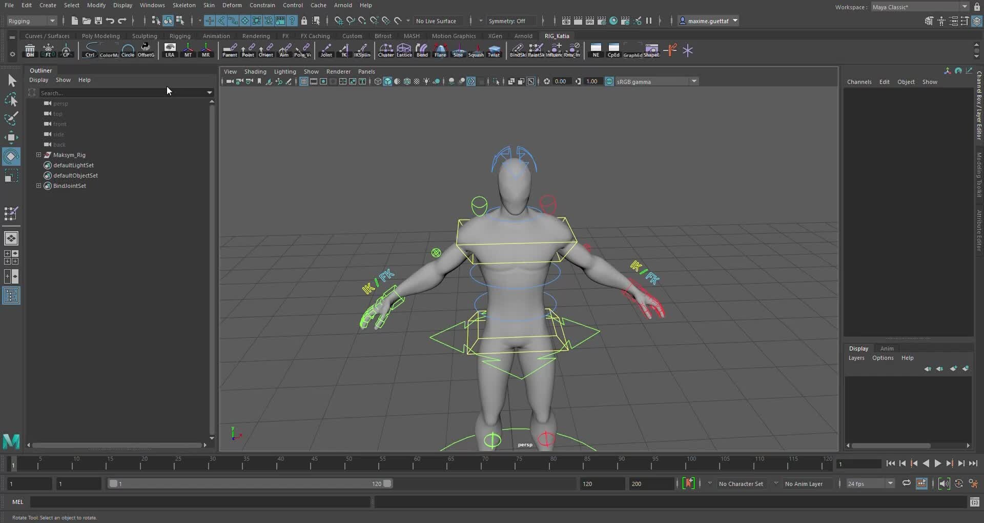 ArtStation - Rig Biped