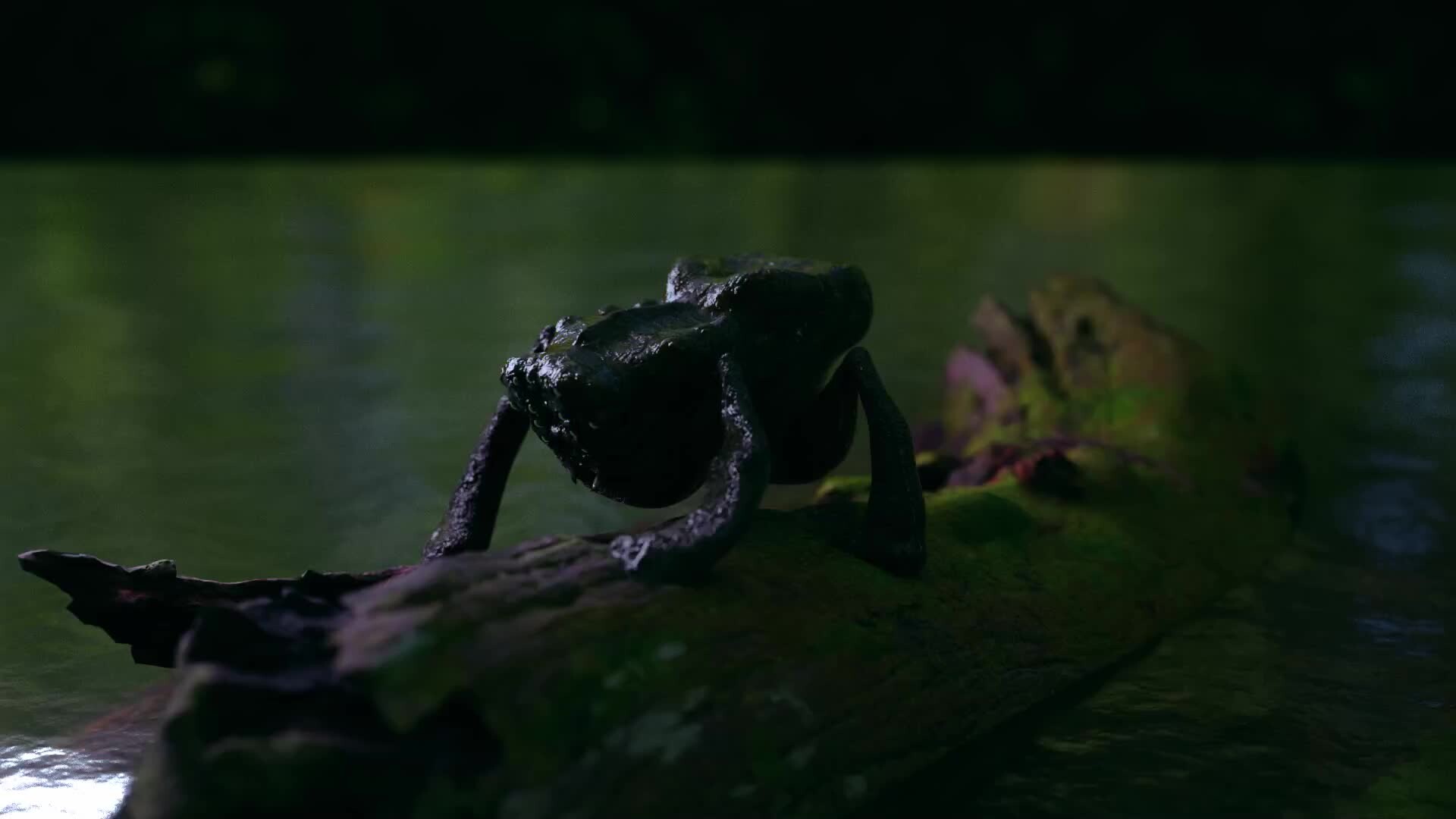 ArtStation - Alien frog