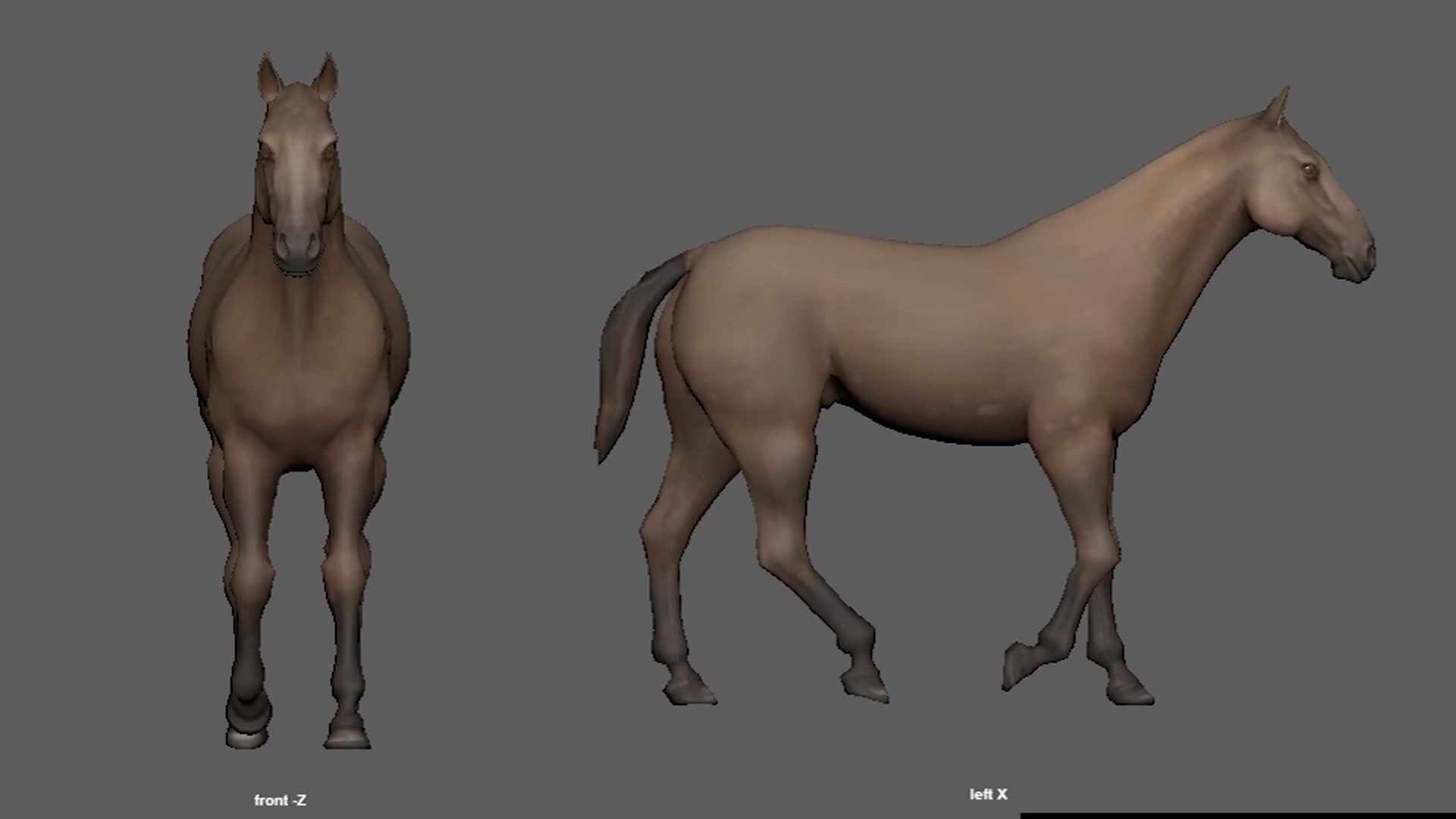 ArtStation - Horse Walk And Run Cycle