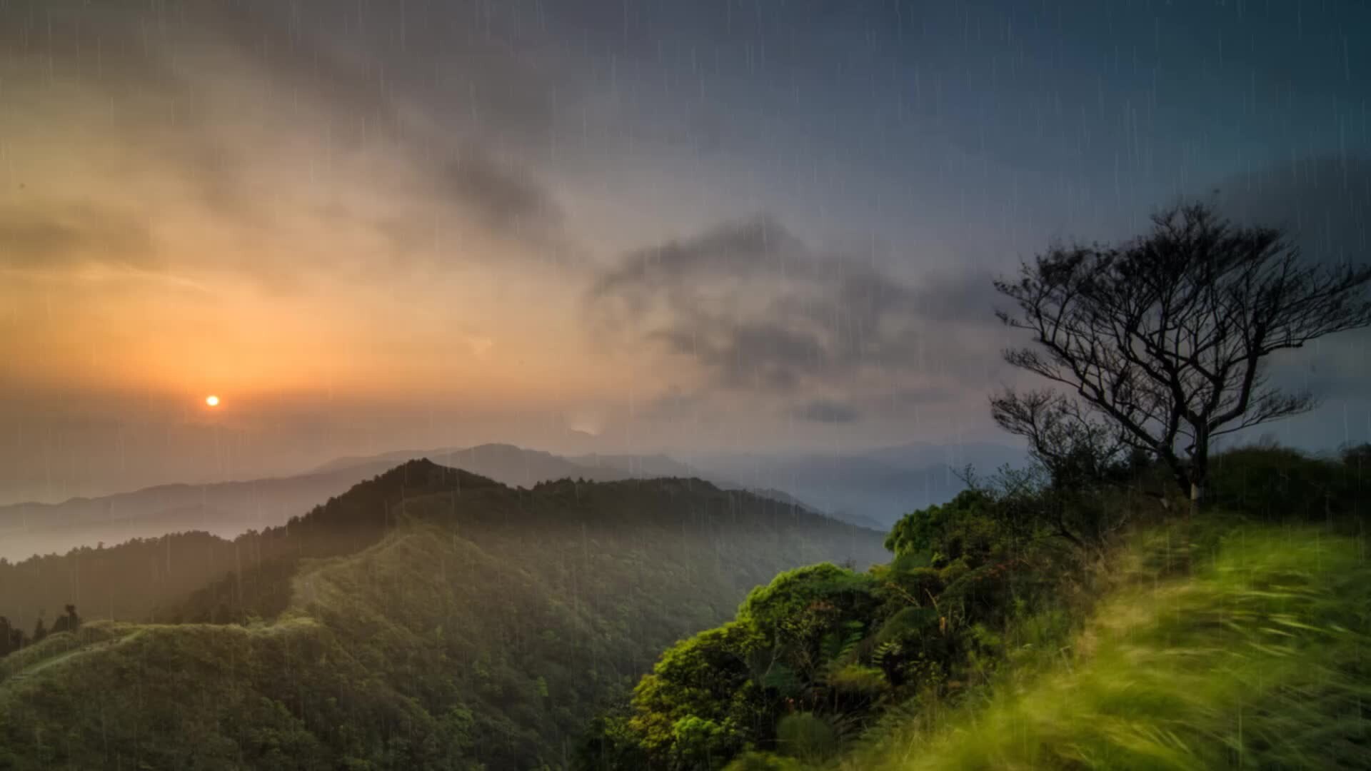 ArtStation - RAIN DROPS