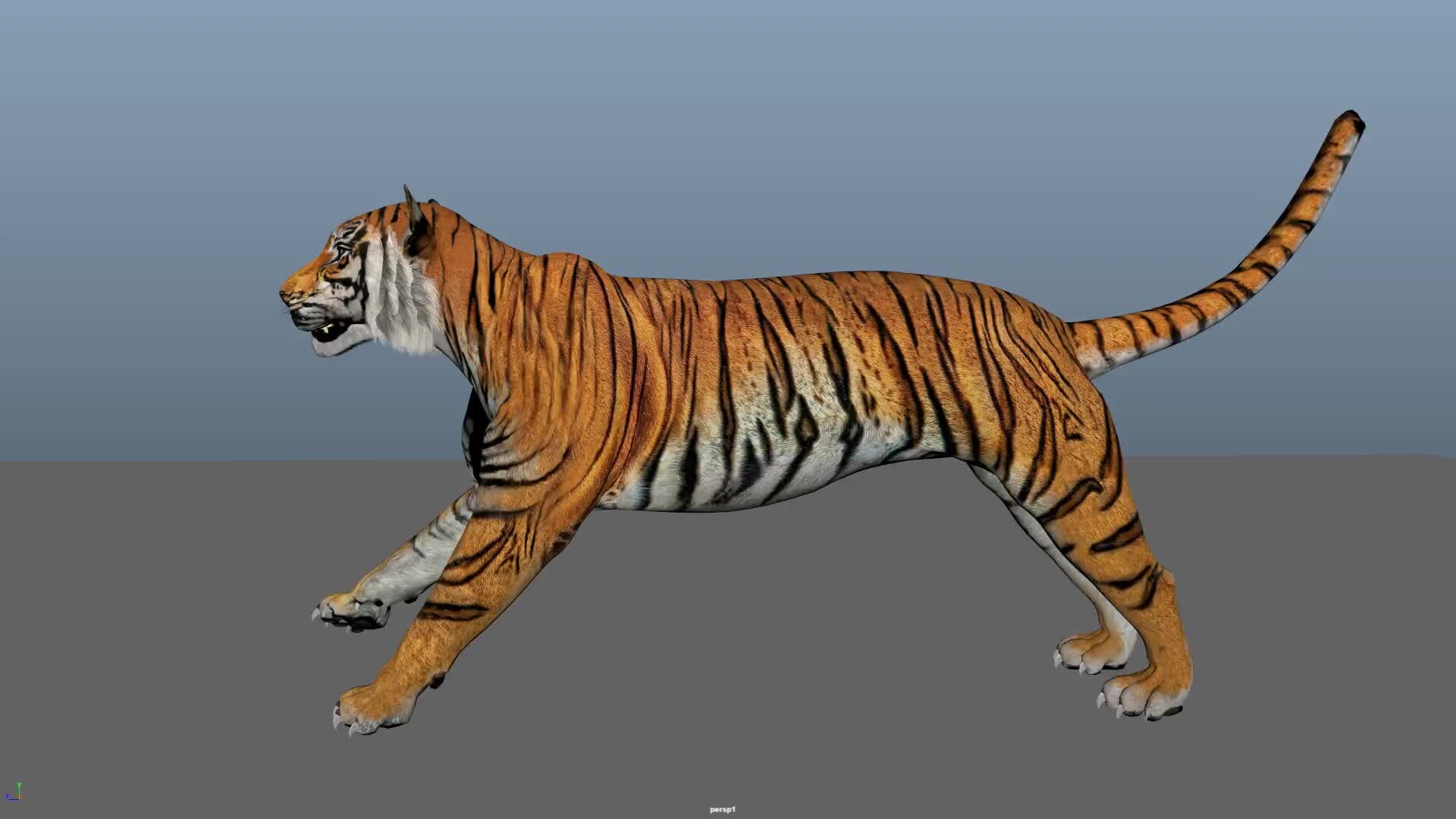 ArtStation - Tiger Run Cycle WIP