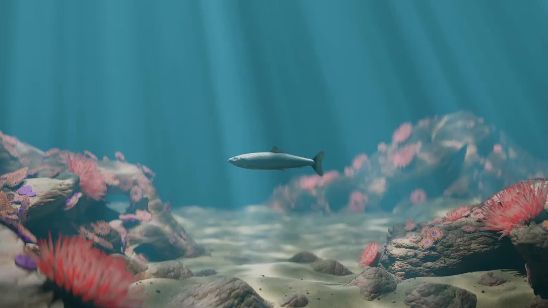 ArtStation - Fish animation