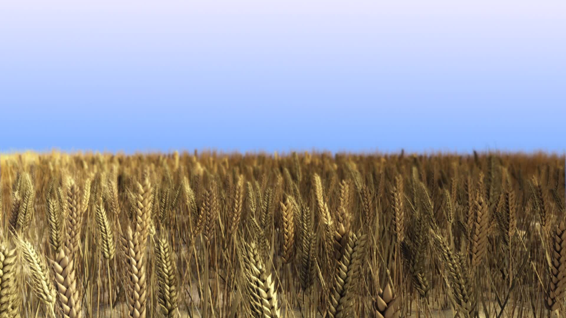 ArtStation - Wheat Field