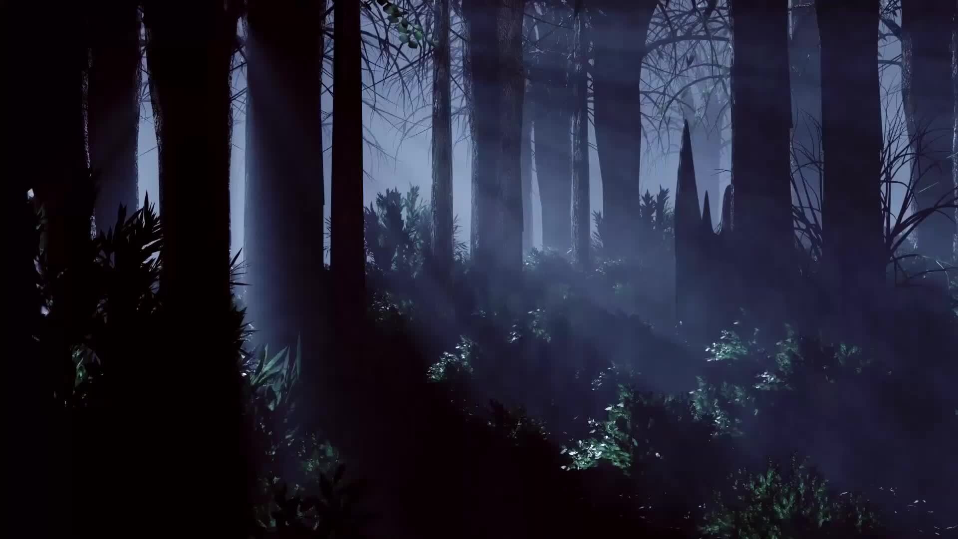 ArtStation - Forest At Night