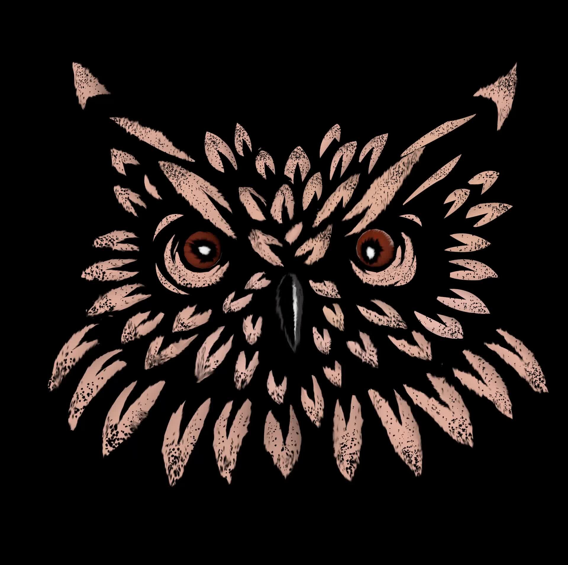 ArtStation - owl face