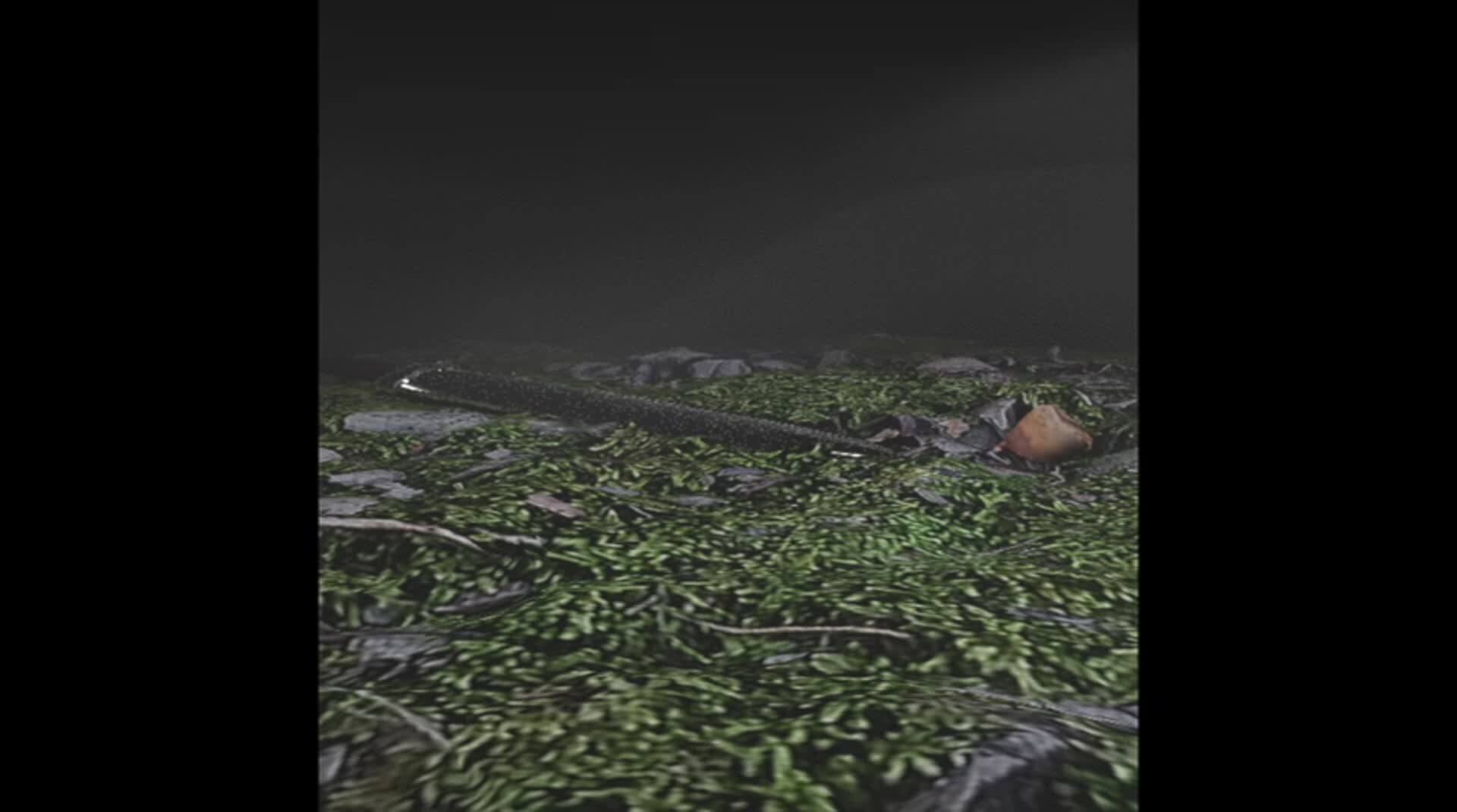 ArtStation - Skeleton spawn animation