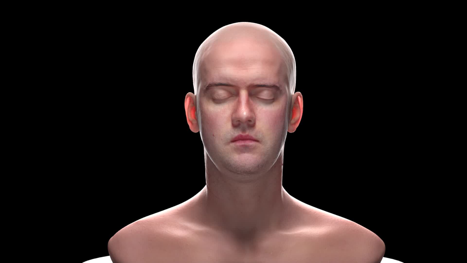 ArtStation - Texture/Lighting study: Head turnaround