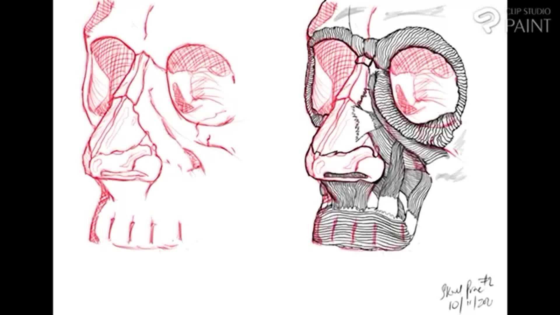 ArtStation - Skull Practice