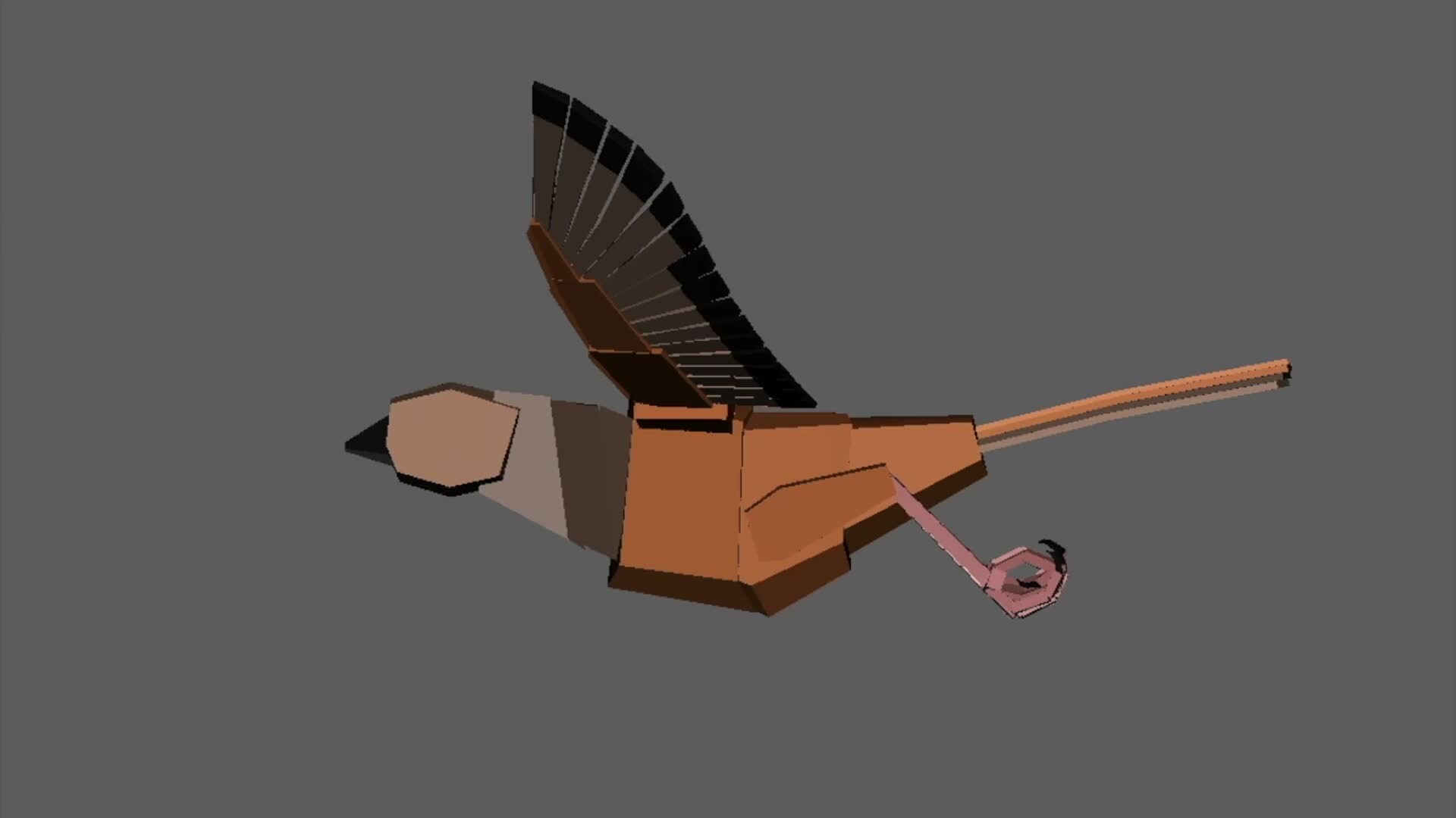 ArtStation - Bird Flight Cycle