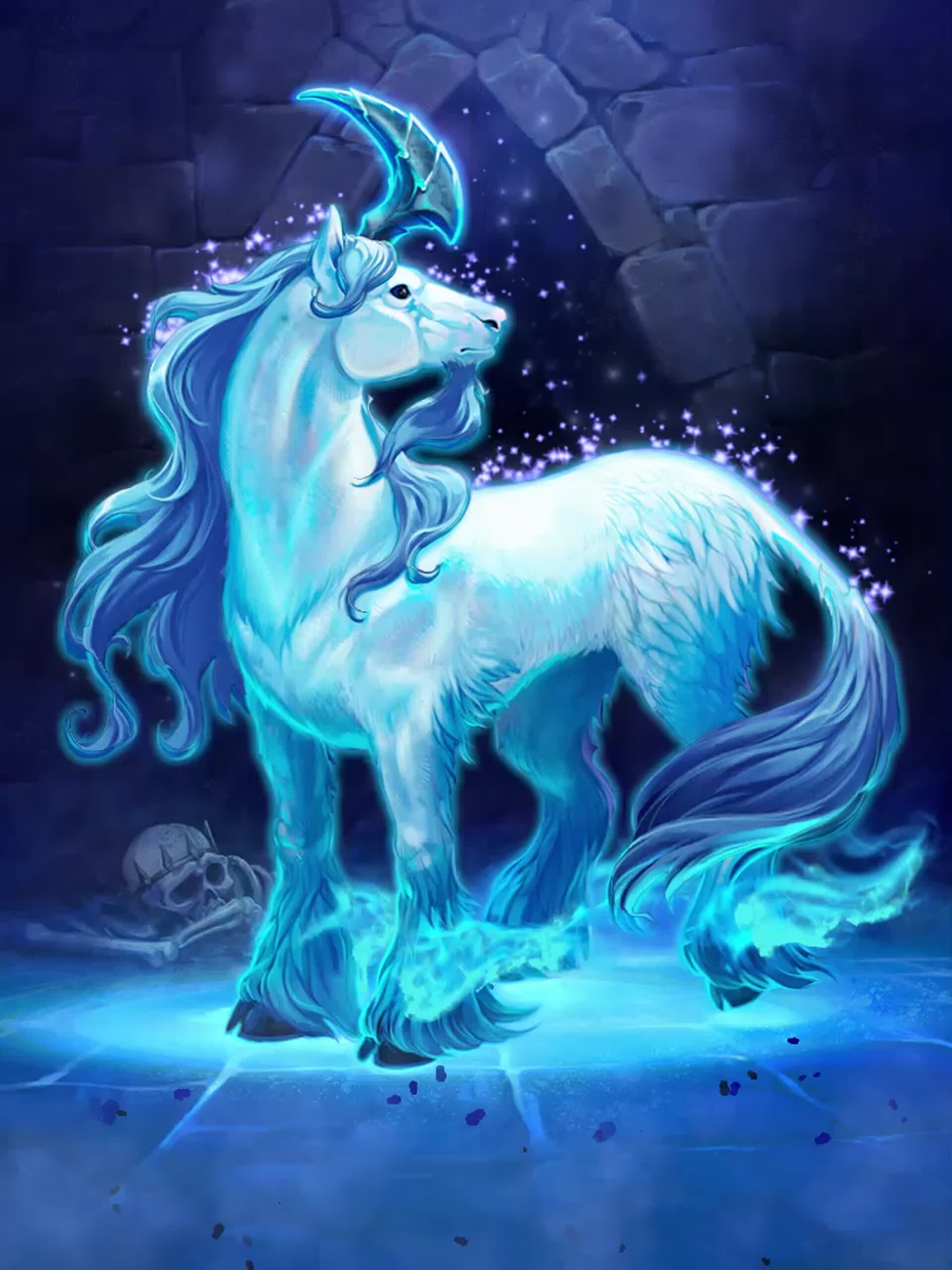 Annette - Animation for Shimmering Courser