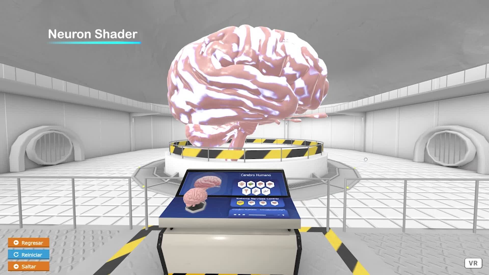 ArtStation - Virtual Brain: Neurons, Synapse and White Matter Nerve Fibers