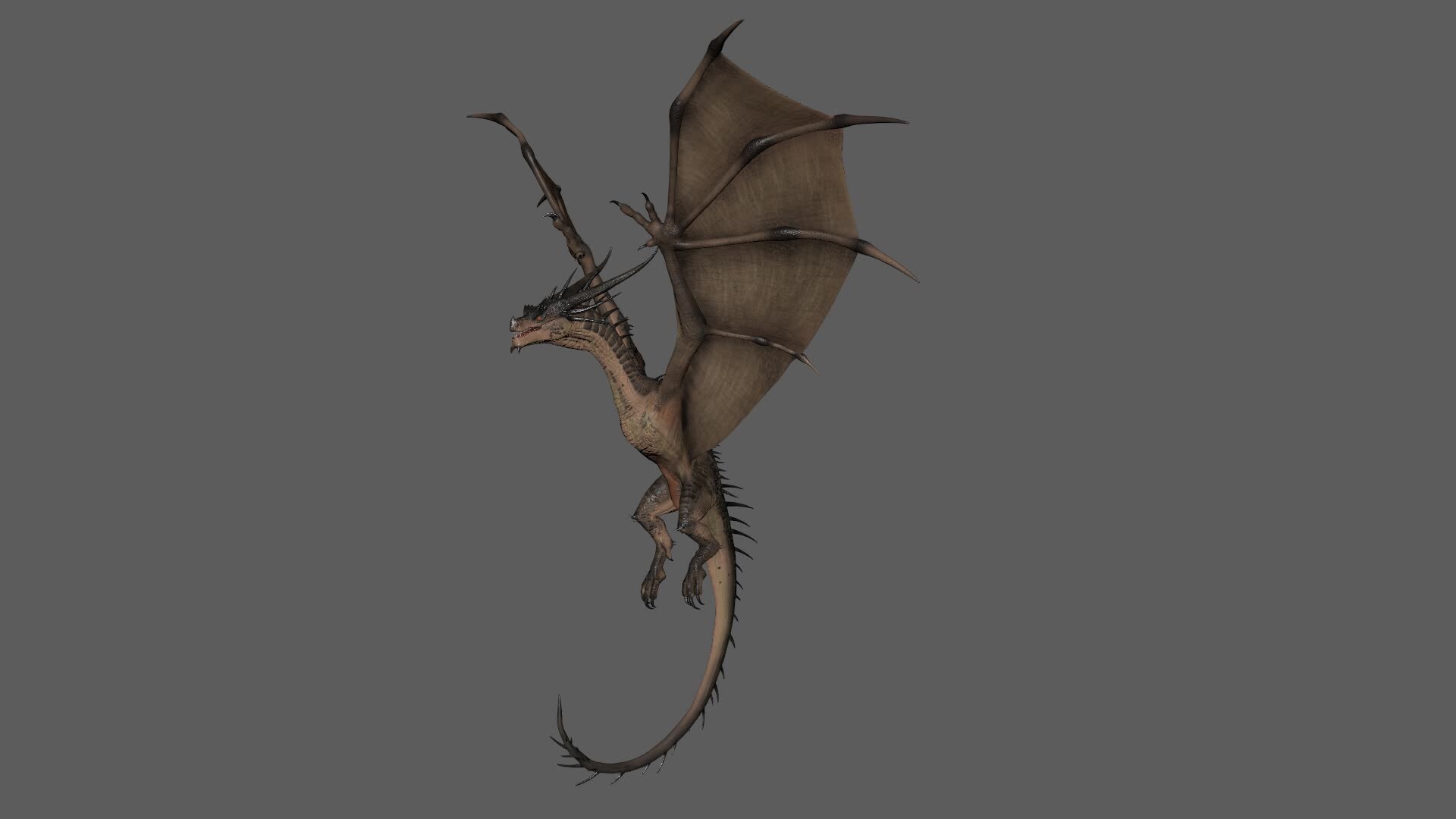 ArtStation - Dragon fly cycle