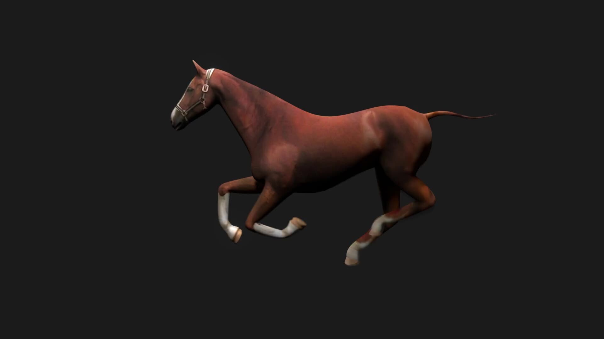 ArtStation - Running Horse Animation