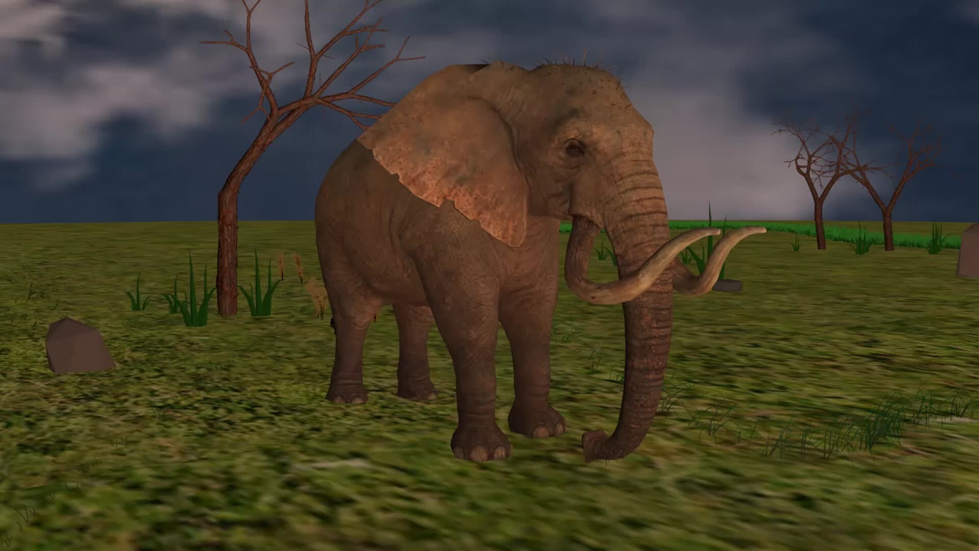 ArtStation - Basic Elephant Walking Animation