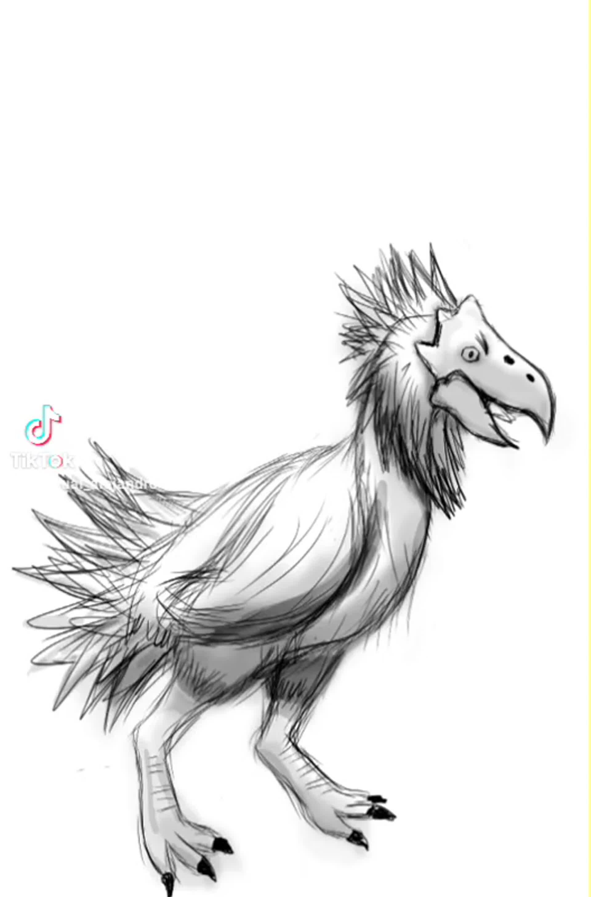 ArtStation - Ave del terror, Terror bird