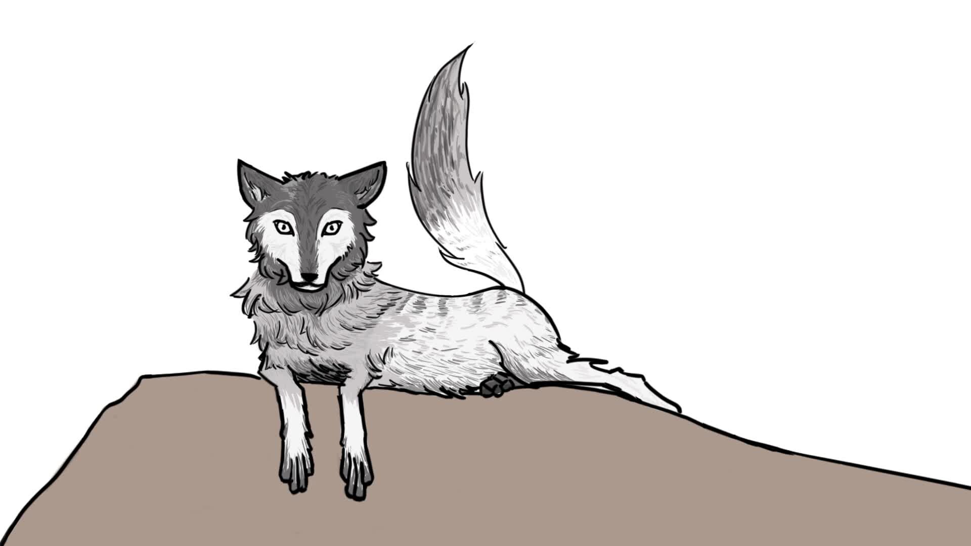 ArtStation - Animation 1