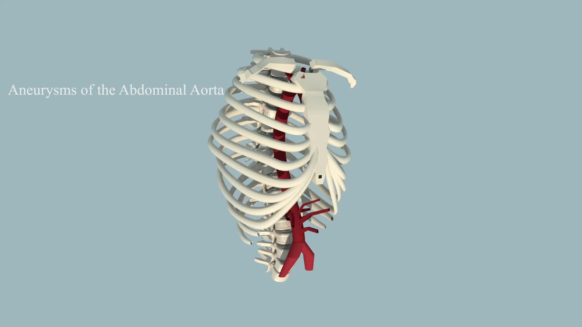 ArtStation - Aorta Animation