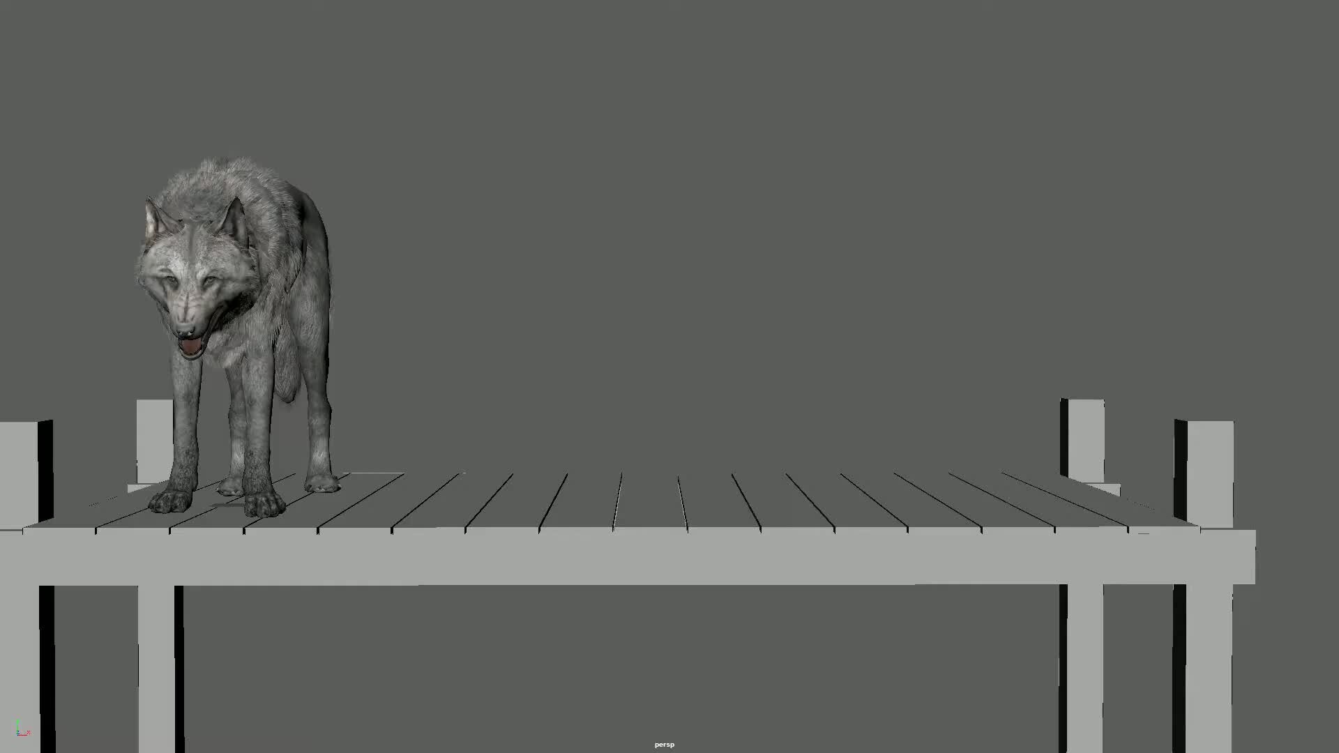 ArtStation - Wolf Animation