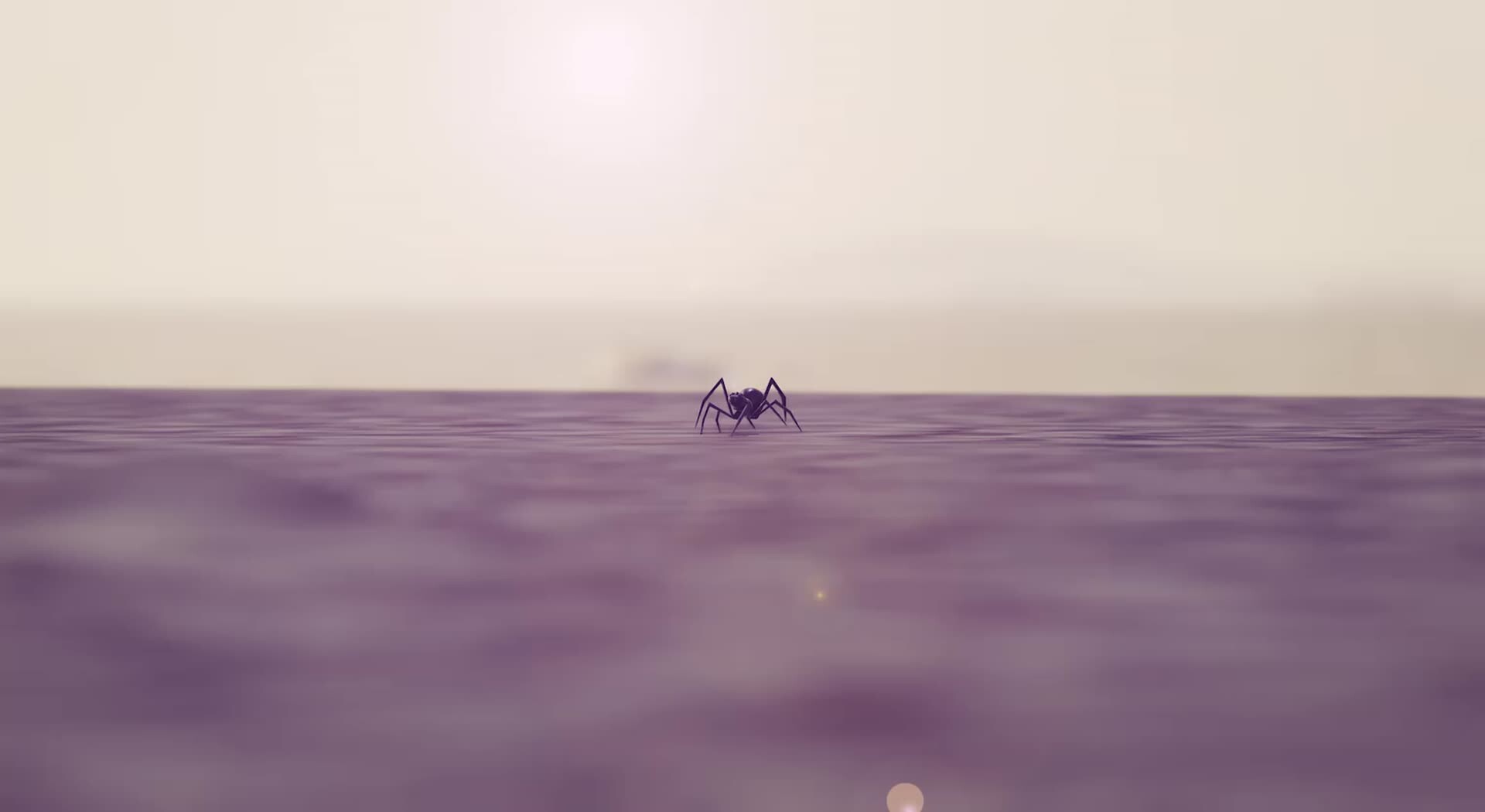 ArtStation - Spider Animation