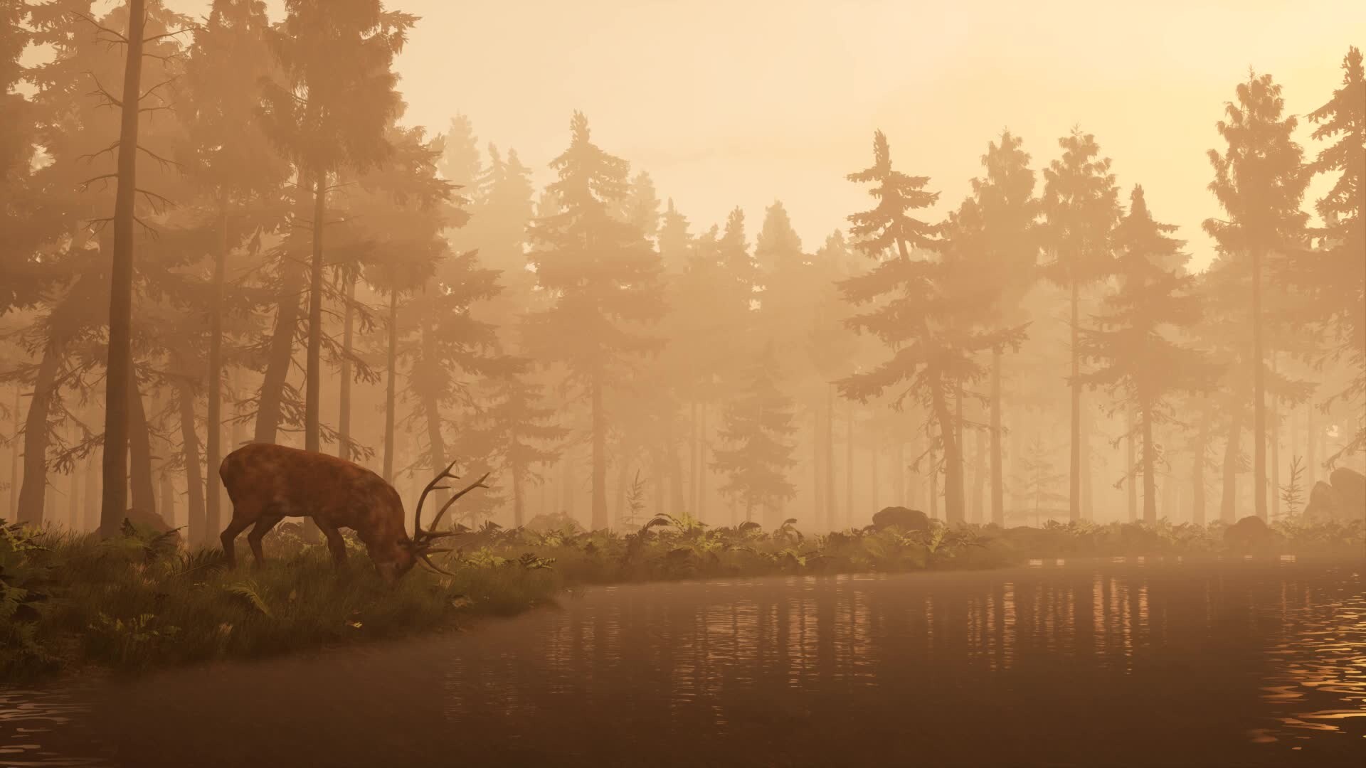 ArtStation - 3D Environment - Unreal Engine 5