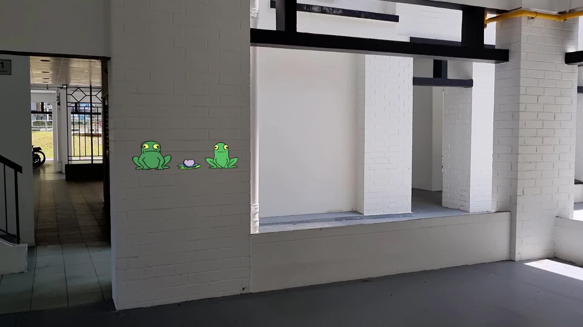 ArtStation - 2D Frog in Live-action footage