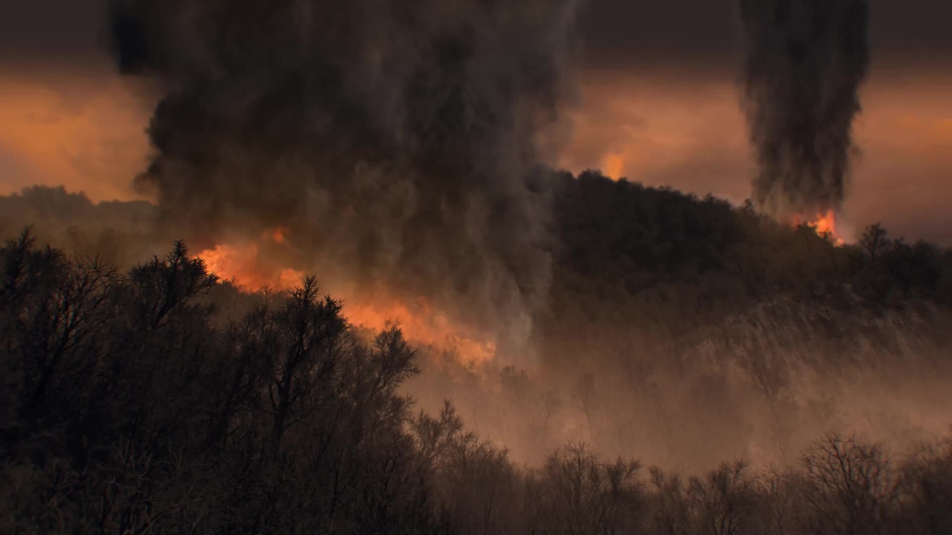 ArtStation - Wildfire