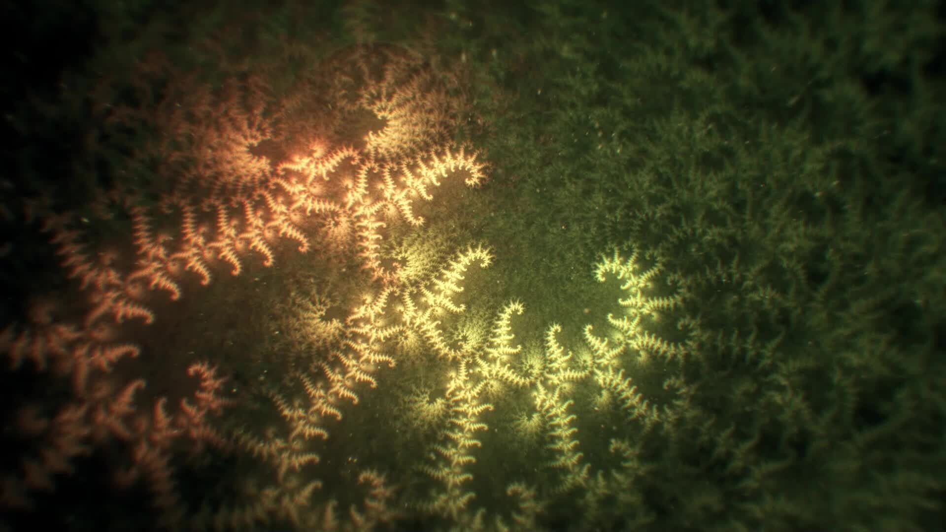 Void Visuals - Cosmic Floating