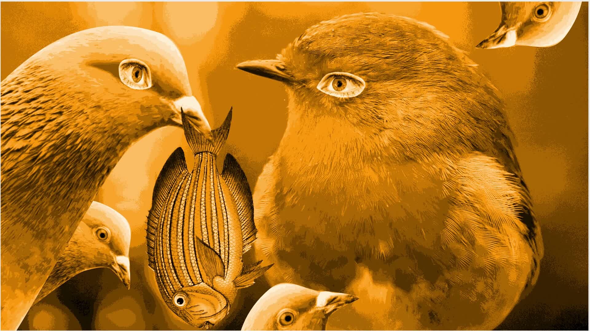 ArtStation - Inamorato