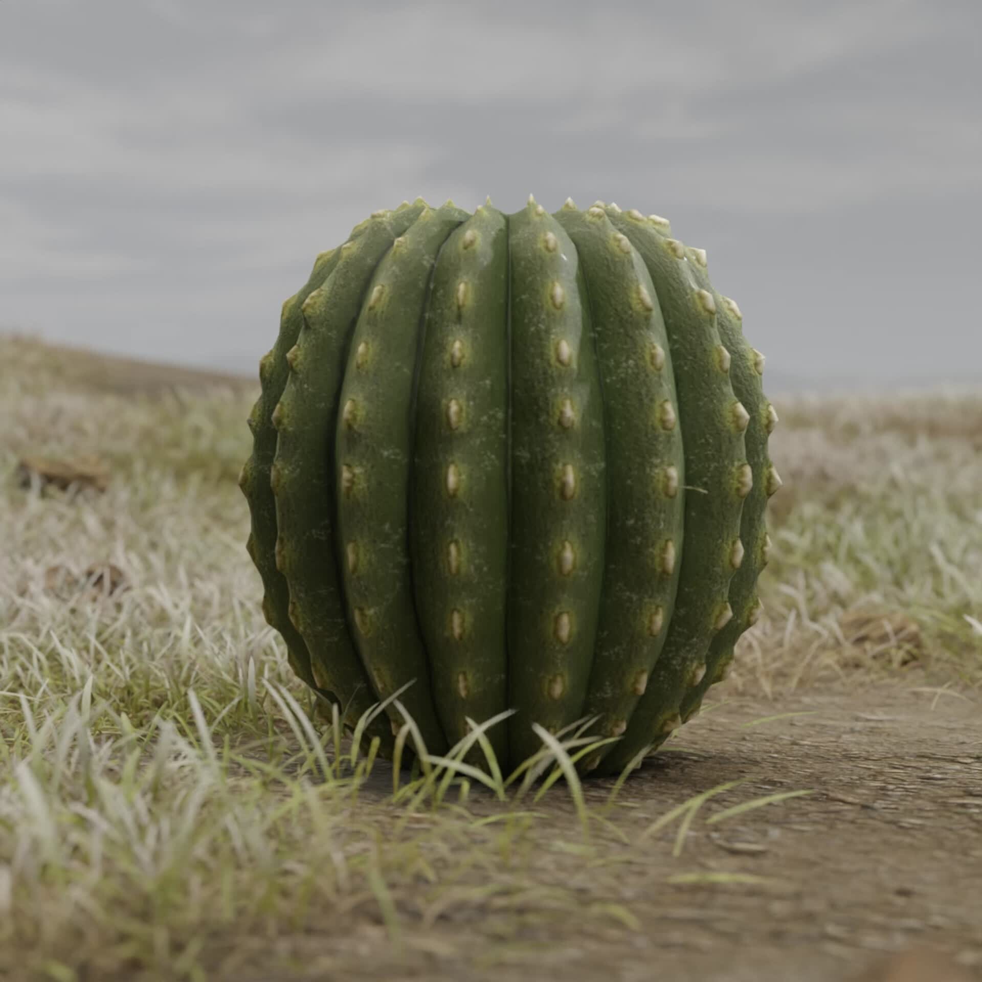 ArtStation - Cactus