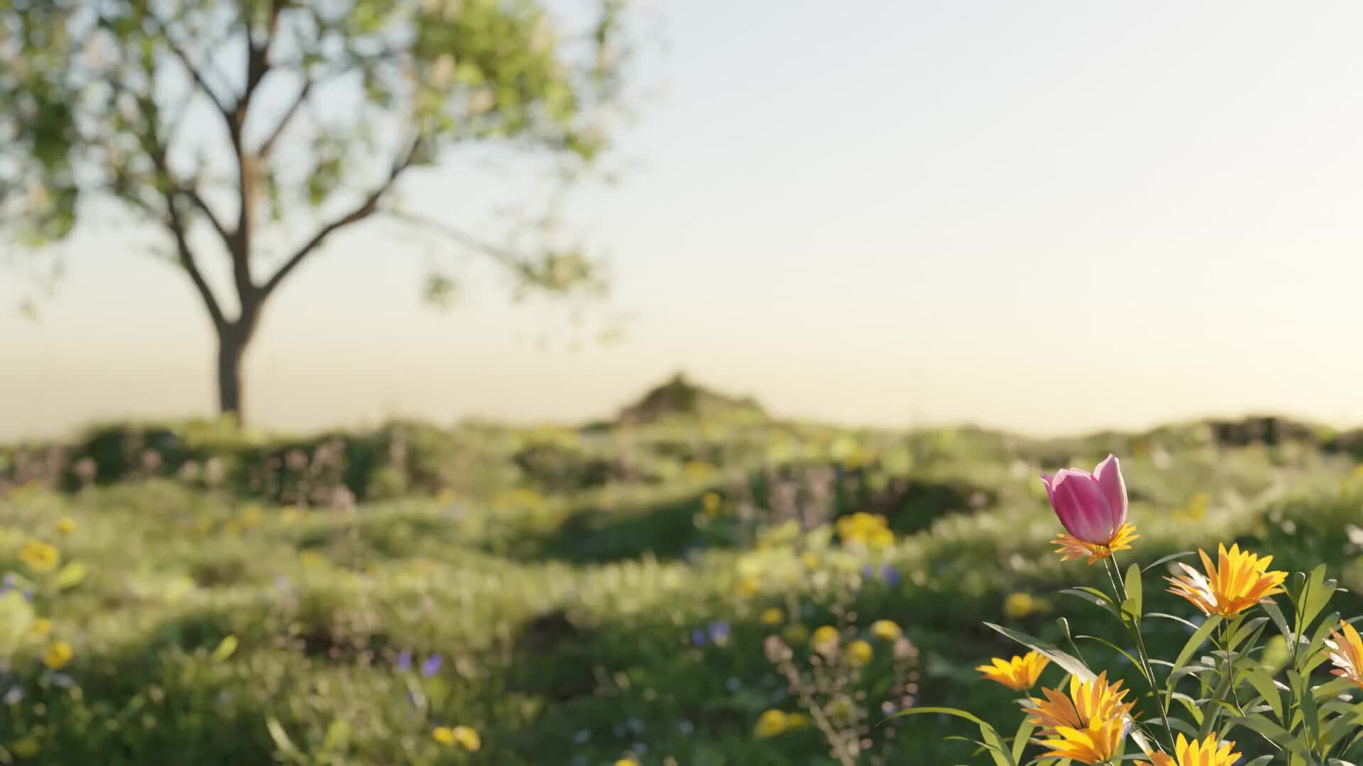 ArtStation - BLISSFUL NATURE ANIMATION