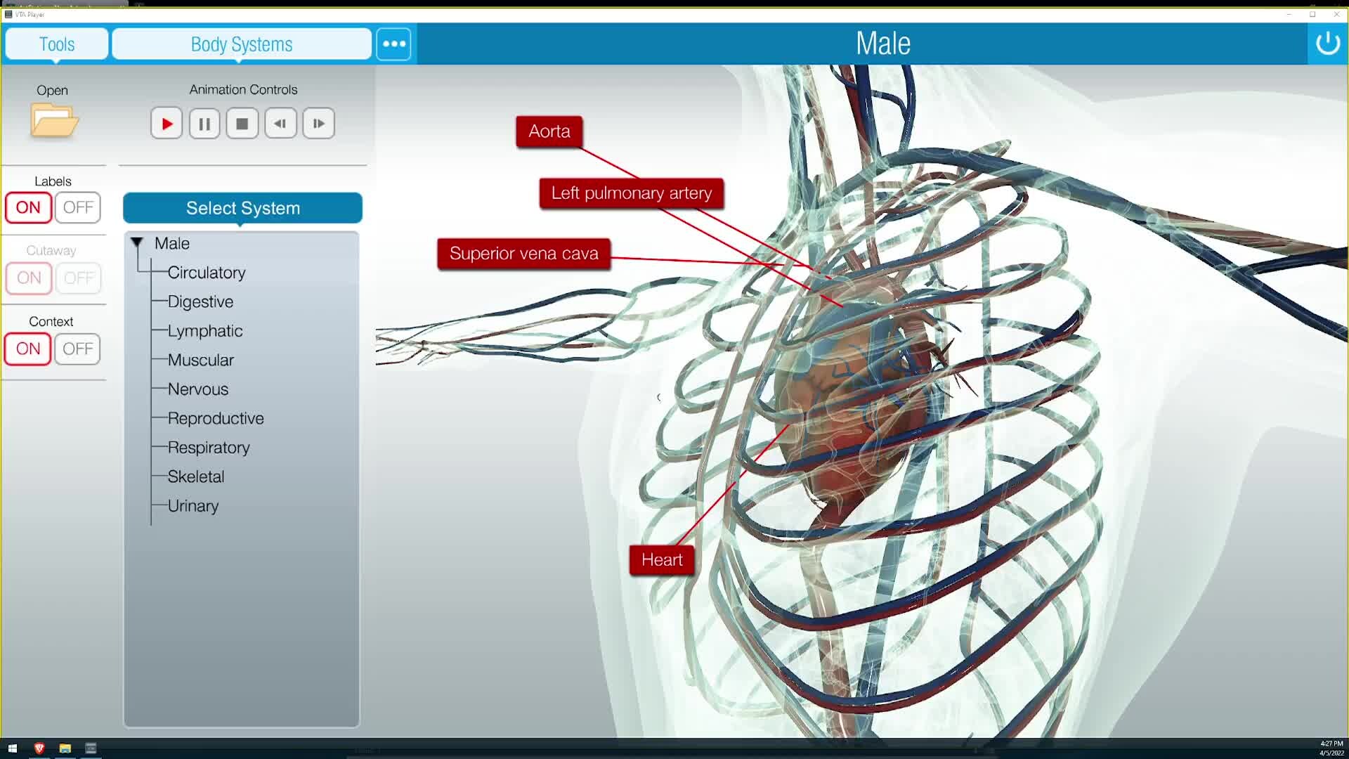 ArtStation - Medical Demo